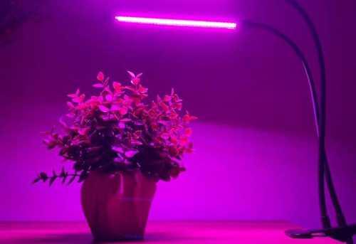 Ультрафиолет для растений