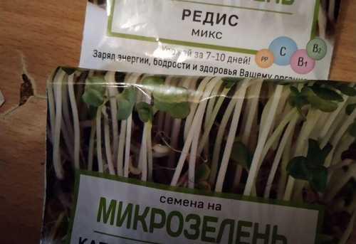 Семена микро зелени