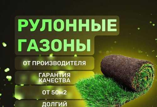 Рулонный газон. Насыщенный зеленый цвет