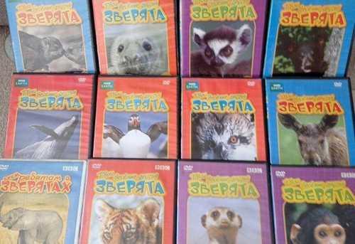 DVD диски о животных