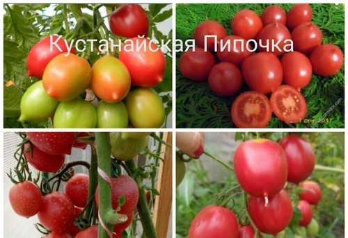 Семена томатов для консервации
