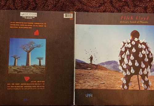 Виниловые пластинки Pink Floyd-лампочки