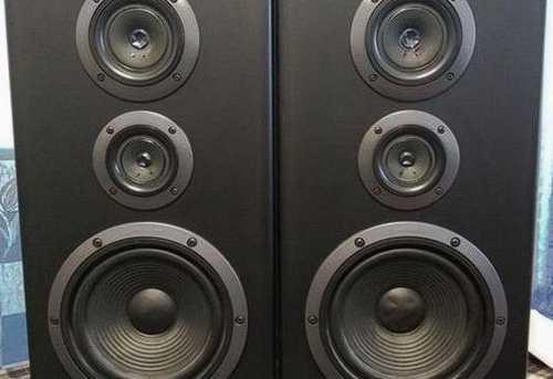 Комплект (Pioneer CS-5030 и Pioneer A-301)