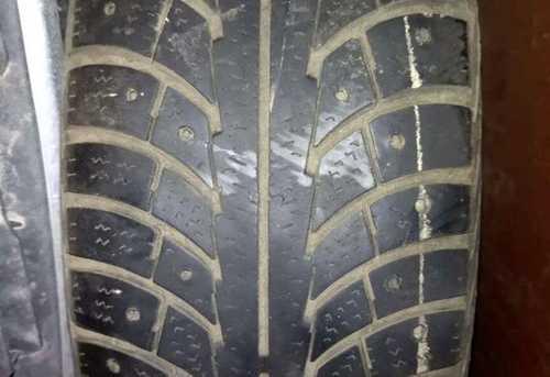 Gislaved Nord Frost 5 175/65 R14