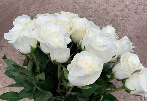 Белые розы с достакой по Всеволожску и району