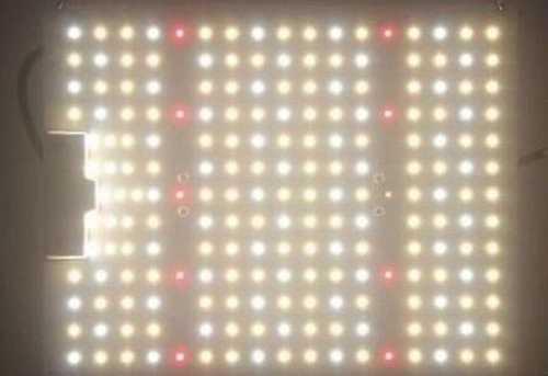 Светильник-фитолампа LED Groe Light D&Z 100Вт