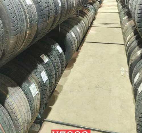 Delinte Winter WD1 215/55 R16 97R