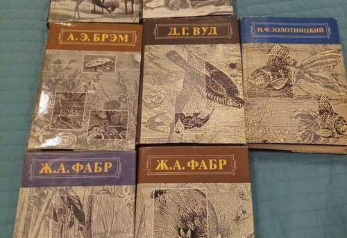Брем, Фабр, Вуд, Золотницкий