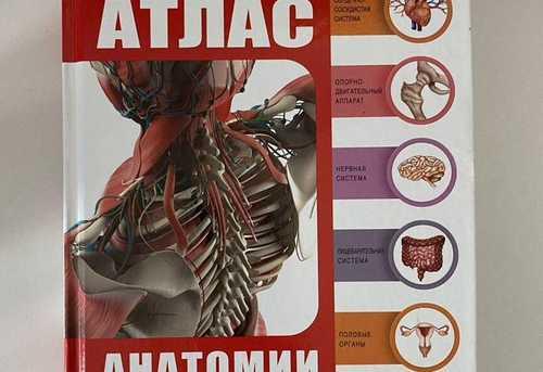 Атлас по анатомии С.С. Лёвкин 11-е издание