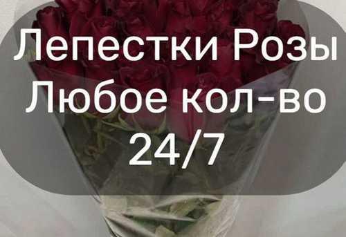 Лепестки роз для романтики Москва