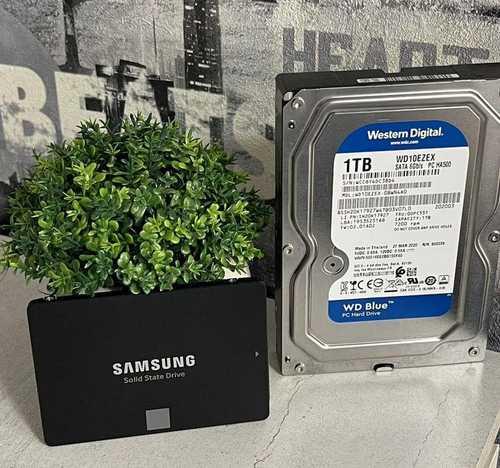 SSD Samsung 860 EVO 250GB / HDD WD Blue 1TB