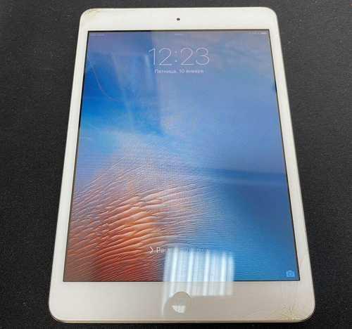 iPad mini 2 64