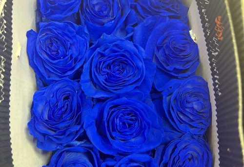 Синие розы:Свежее поступление