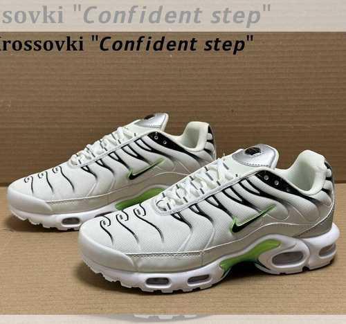 Кроссовки Nike Air Max Plus TN