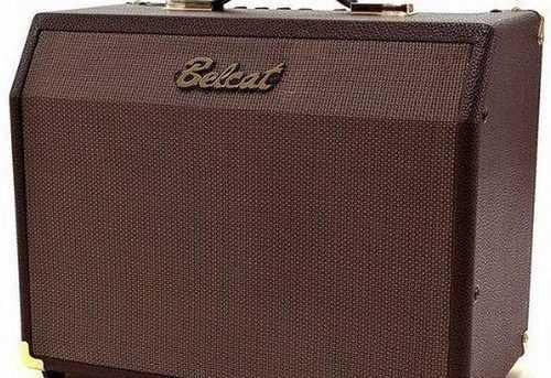 Belcat Acoustic-15C