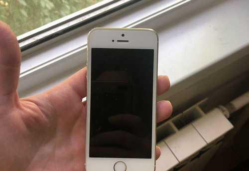 iPhone 5 s 32 gold