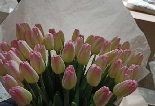 Тюльпаны оптом качественные