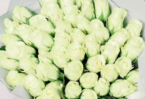 Букет из 51 белой розы 40 см (Кения) в зеленой пле