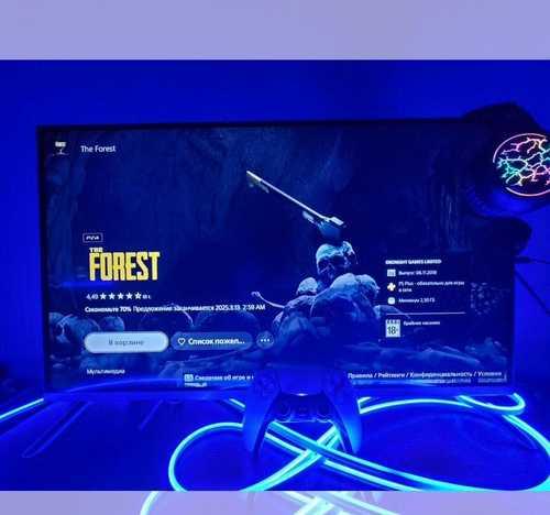 The Forest PS4/PS5