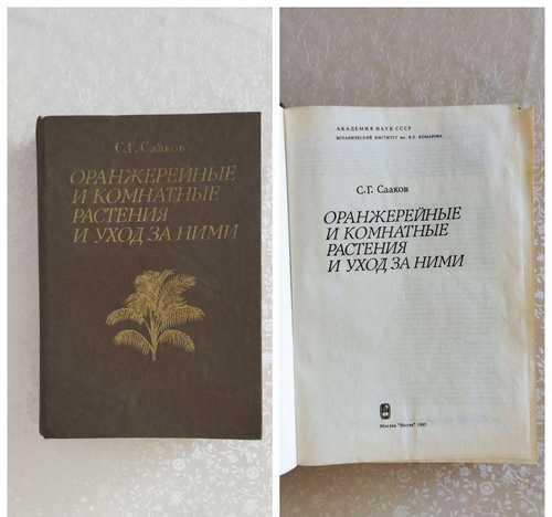 Оранжерейные и комнатные растения и уход за ними