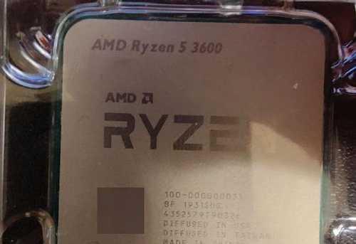 AMD Ryzen 5 3600