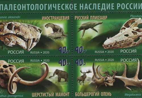 А2-043 Россия 2020. Палеонтология 1 квартблок (4 м