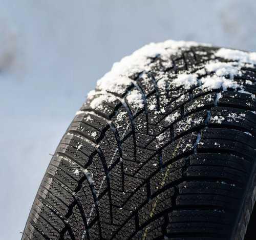 Zmax Winterhawke I 205/65 R16 95H