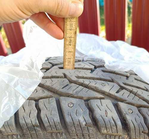 Tigar Ice 195/65 R15 95T