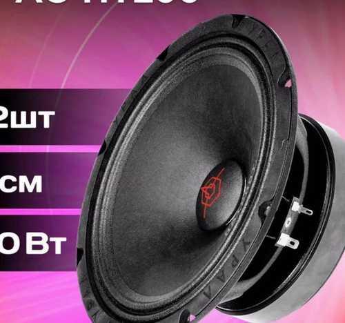 Акустическая система эстрада Урал ас-пт200 Патриот