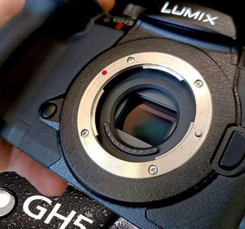 Panasonic lumix GH5 II