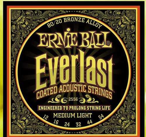 Струны для акустической гитары Ernie Ball 2556 Eve