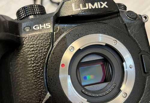Камера Panasonic Lumix DC-GH5 Body черная