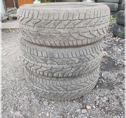 Tigar Winter 205/55 R16