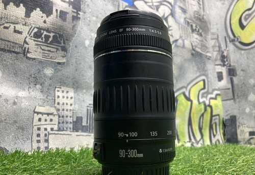 Canon EF 90-300mm 4.5-5.6