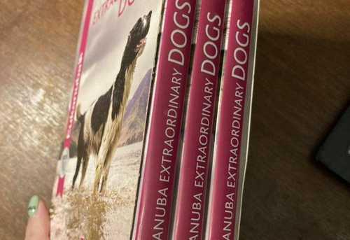 Двд Extraordinary dogs 13 серий, без перевода