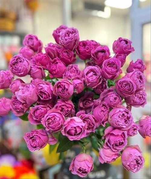 Цветы:Розы кустовые Пионовидные
