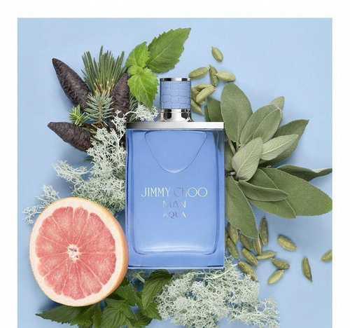 Парфюм мужской Jimmy Choo aqua -100мл