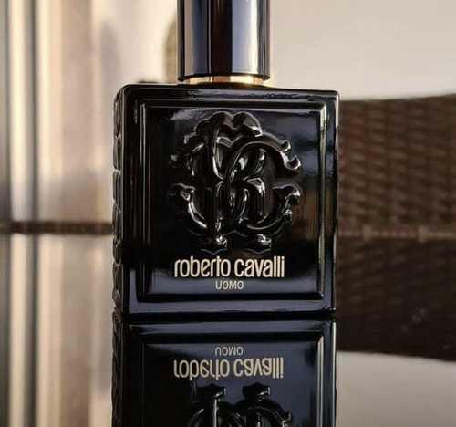 Roberto Cavalli Uomo