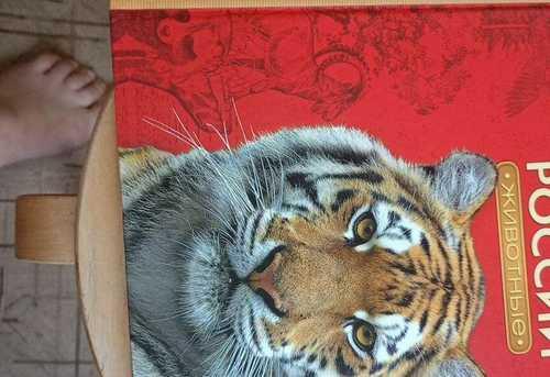 Красная Книга о животных