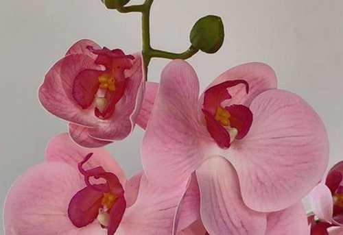 Орхидея искуственная (премиум класса)