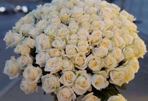 Белый роза