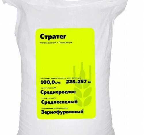 Озимый ячмень Стратег 100ц/га