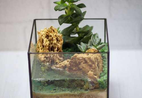 Флорариум мини-куб с водоёмом