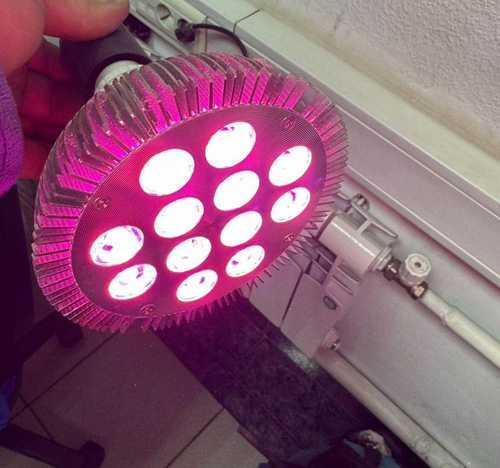 Фитолампа minifermer 36 Ватт Е27 (Full spectrum)