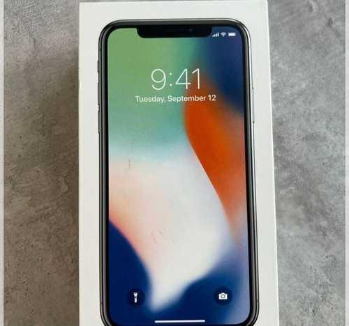 iPhone X, 256 ГБ