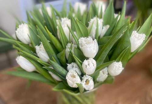 Премиальные тюльпаны - Белый