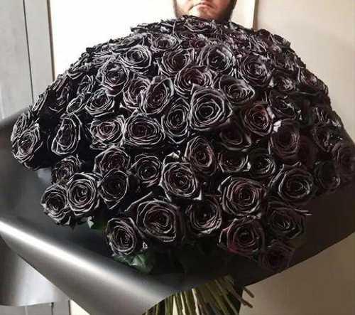 Черные розы, синие, бархатные много роз эквадор