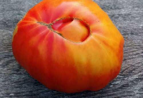 Набор высокорослых томатов(10 сортов)