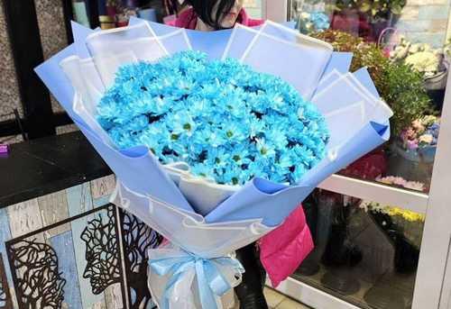 Букет гигант из синих ромашек (хризантемы)