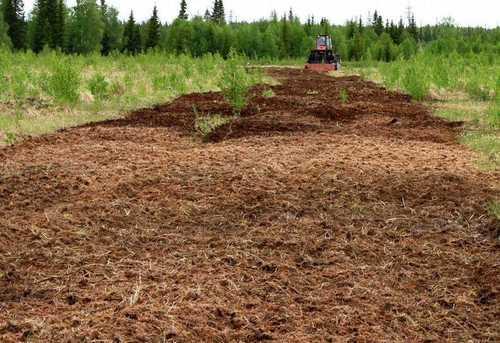 Травосмесь для восстановления нарушенных земель